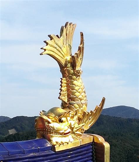 What Is The Meaning Of Shachihoko Of Japanese Castle What For Hiro8