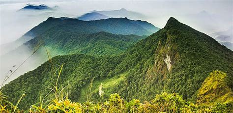 Kalimantans Sight 4 Days 3 Nights Tour And Travel Indonesia
