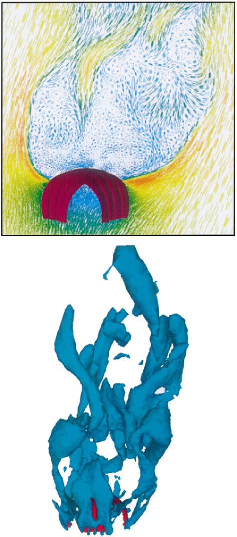 Air¯ow Past A Cross Parachute Flow ®eld Details At An Instant During