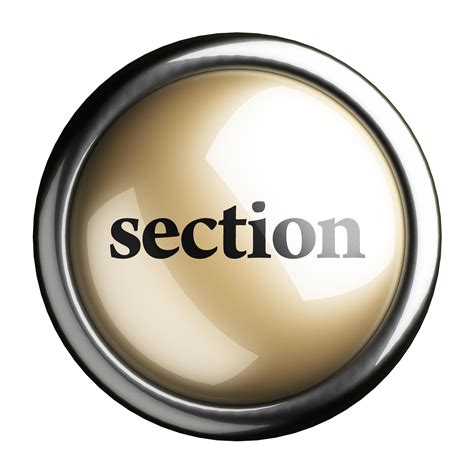 Section Word On Isolated Button 6375535 Stock Photo At Vecteezy