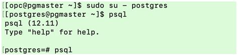 Set Up PostgreSQL Primary And Two Standby Databases Using OCI Console