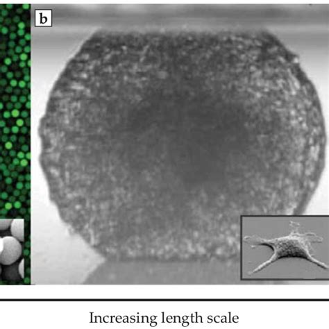 Glassy Physics At Many Length Scales Atomic Liquids And Systems
