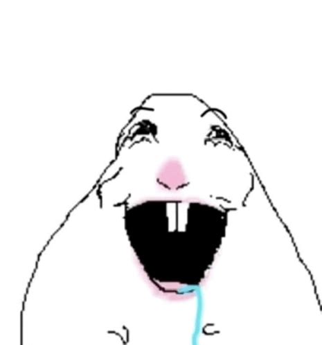 Happy Hamster Meme Happy Hamster Discover And Share S