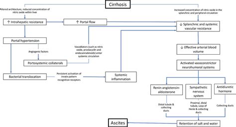 Guidelines On The Management Of Ascites In Cirrhosis Gut