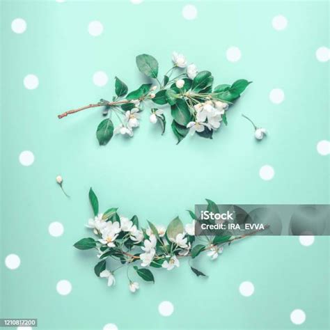 파란색 배경에 피는 사과 나무와 창조적 인 레이아웃 플랫 레이 컨셉 봄 미니멀리즘 0명에 대한 스톡 사진 및 기타 이미지 0명 3월 5월 Istock