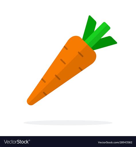 Carrot Flat Material Design Isolated Object Vector Image