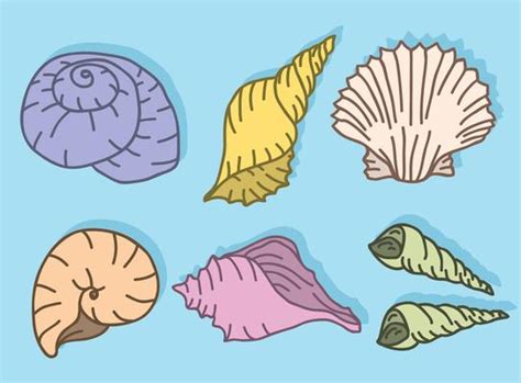 Scallop Vector Art Icons And Graphics For Free Download