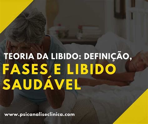 Teoria Da Libido Defini O Fases E Libido Saud Vel Psican Lise Cl Nica
