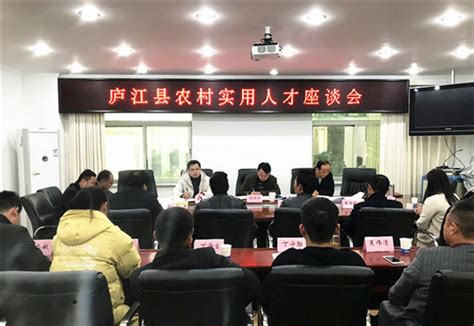 庐江县分别召开优秀农村实用人才带头人座谈会和名师名医名家座谈会合肥先锋网