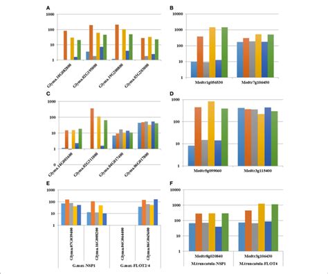 Relative Expression Levels Of NF YA A B NIN C D NSP And Download High