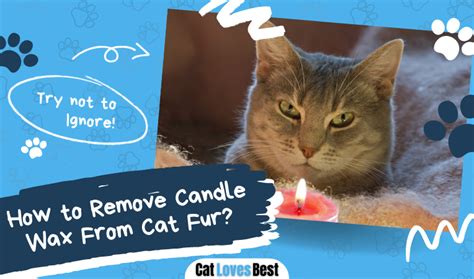 How To Remove Candle Wax From Cat Fur