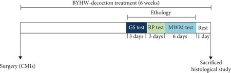 Timeline Of The Cmi Model Byhw Decoction Treatment And Behavioral Download Scientific Diagram