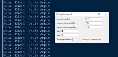 Python Tkinter Interfaz Grafica De Usuario