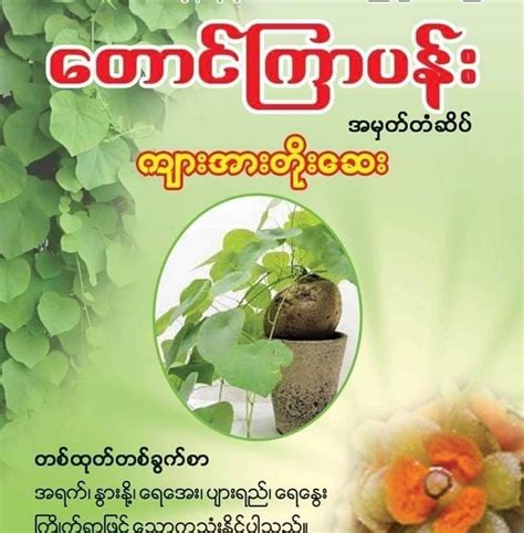 တောင်ကြာပန်း မြိတ် Facebook