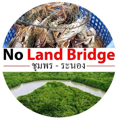 ลูกนกกาบบัวแรกเกิดมีผิวหนังเป็นสีชมพู หัวและปากสีดำ ในช่วงนี้มีความเสี่ยงที่สุด ดังนั้นพ่อแม่จะ