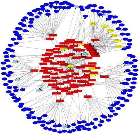 Honeynet Scan30 Challenge Visualization