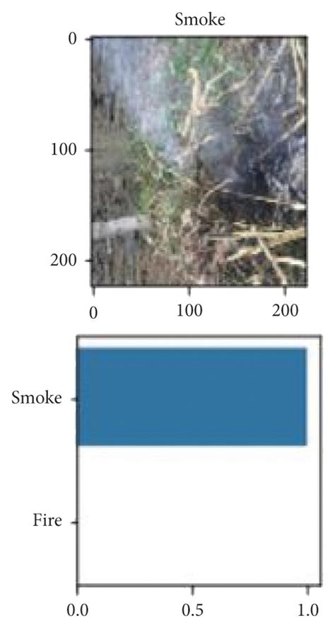 Classification Result Of Feature Extractor With High Class