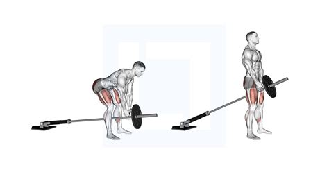 Lying Glute Stretch Guide Benefits And Form