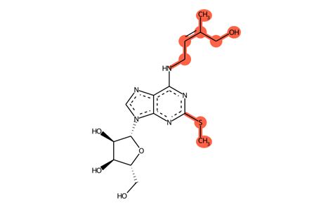 Modomics A Database Of RNA Modifications