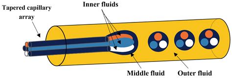 Micromachines Free Full Text Microfluidic Production Of Multiple Emulsions