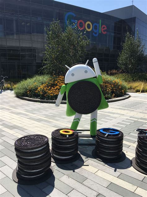 소규모 투어 실리콘밸리 스탠퍼드 대학 It 기업 캠퍼스 방문 줌줌투어 미국 샌프란시스코