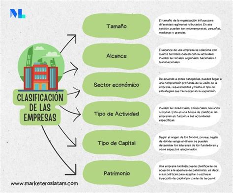 Empresa Concepto Clasificación Tipos E Influencia En La Economía