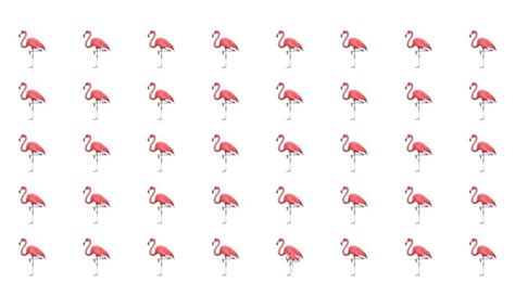 The Ultimate Iq Test Only 1 In 100 People Can Pass This Odd One Out