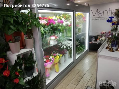 Хладилна витрина за цветя в Витрини в гр Габрово Id40895672 Bazar Bg
