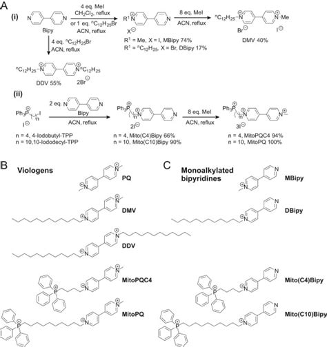 Synthesis And Structures Of The Investigated Viologens And