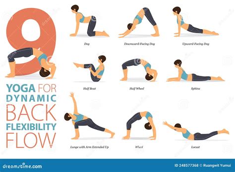 9 Yoga Poses Or Asana Posture For Workout In Back Flexibility Concept