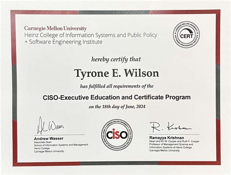 Cybersecurity Services Penetration Testing Vciso And Training