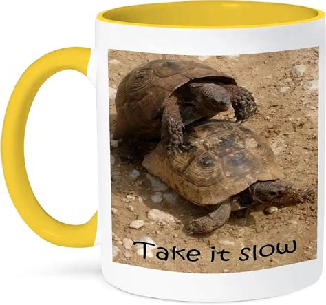 The Fascinating Mating Rituals Of Gopher Tortoises Understanding Their