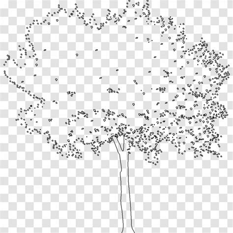 Tree Axonometric Projection Woody Plant Line Art Drawing Cad