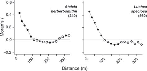Spatial Autocorrelation Morans I In Stem Density Correlograms For