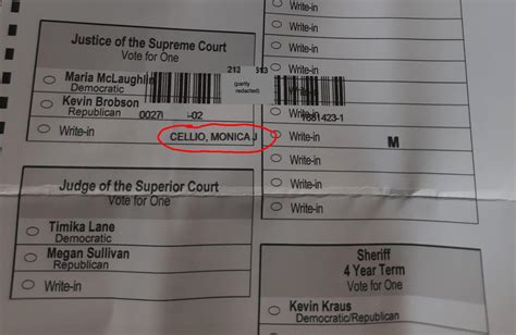 Ballot Problems Monica