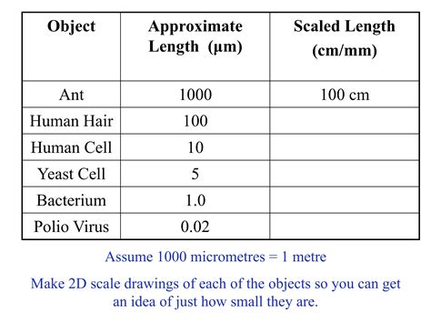Microorganisms And Scale Teaching Resources The Science Teacher