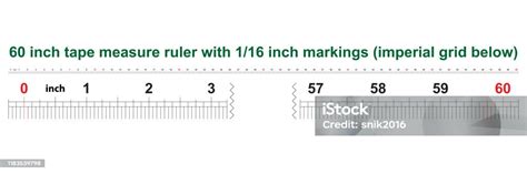 116 인치 표시가있는 60 인치 테이프 측정 눈금자 아래 의 제국 그리드 배율 11 50에 대한 스톡 벡터 아트 및 기타 이미지 Istock