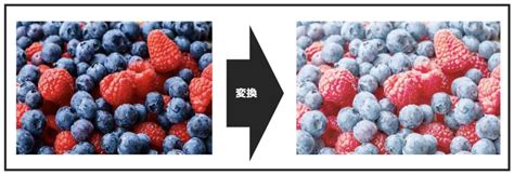 【python】画像の明るさ調整｜opencvによるガンマ補正 Dxcel Wave