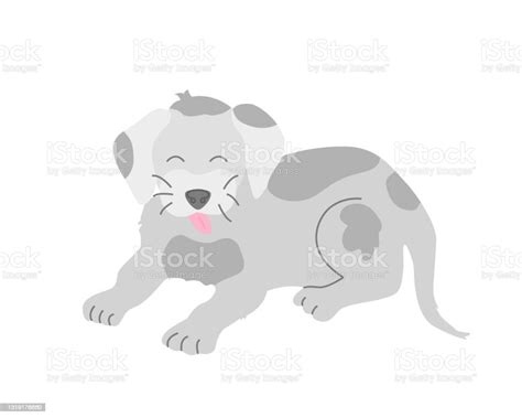 귀여운 재미 회색 은 흰색 배경에 누워 강아지 개를 발견했다 만화 플랫 스타일의 벡터 이미지 어린이 포스터 엽서 의류 및 인테리어 장식 가축에 대한 스톡 벡터 아트 및 기타