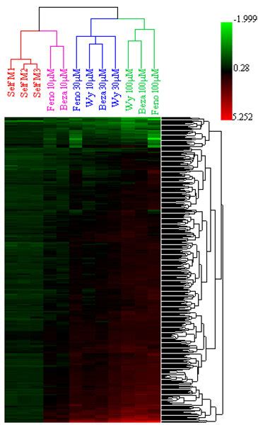 Two Dimensional Hierarchical Cluster Analysis HCA Of Significant