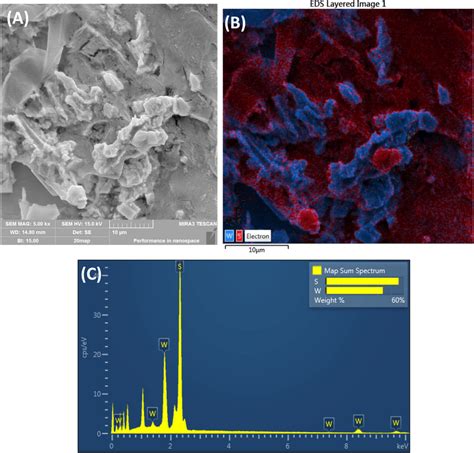 A Sem Images B Mapping Imaging C Eds Of Tungsten Disulfide Ws2 Download Scientific Diagram