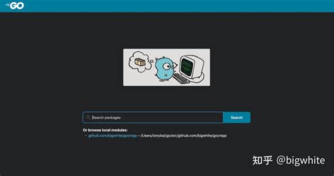 聊聊godoc、go Doc与pkgsite 知乎