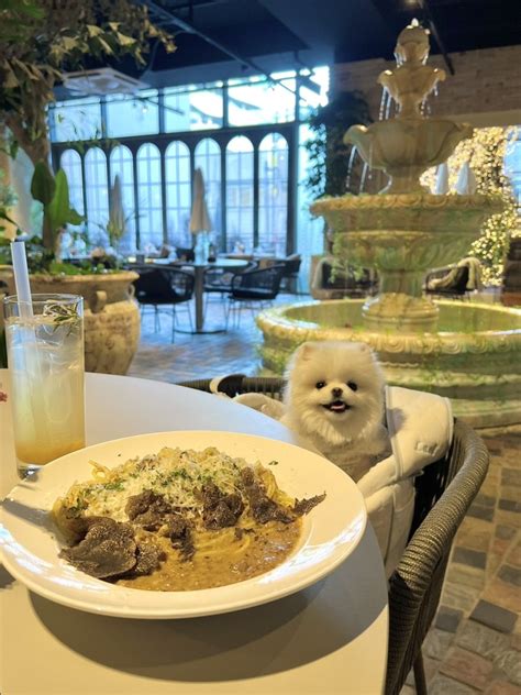 성수 애견동반 식당 유럽 감성 스케줄 성수 예약 없이 강아지랑 다녀옴 네이버 블로그