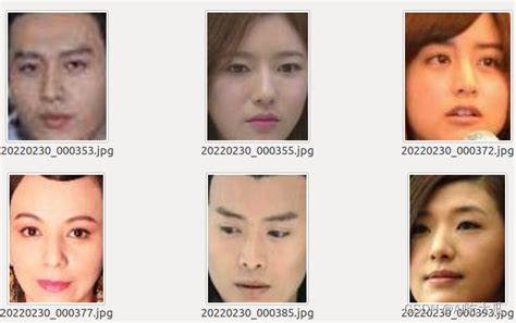 面部表情识别1：表情识别数据集含下载链接affectnet数据集下载 Csdn博客