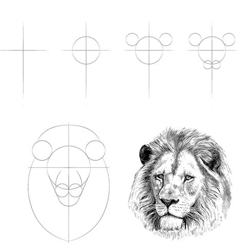 Sketchmypic How To Draw A Lion