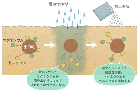 水 を 酸性 に する 方法