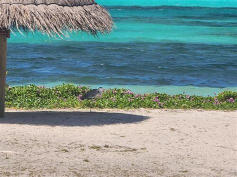 Спокойствие и умиротворение океана · бесплатная фотография от Reallynicephotos картинки и обои