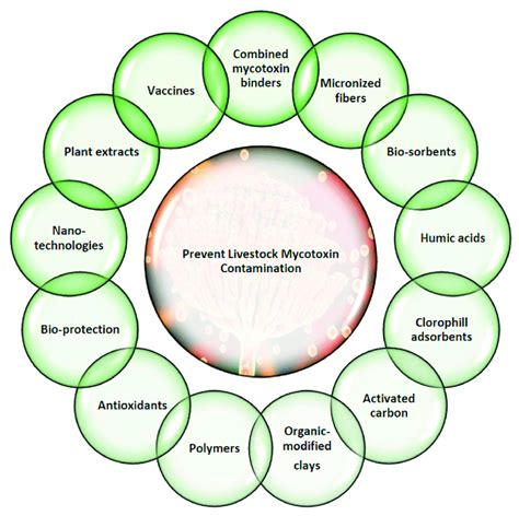 Novel Strategies For Preventing Livestock Mycotoxin Contamination Download Scientific Diagram