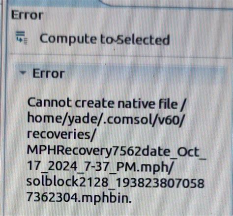 Simulation Error Cannot Create Native File Check Screenshot