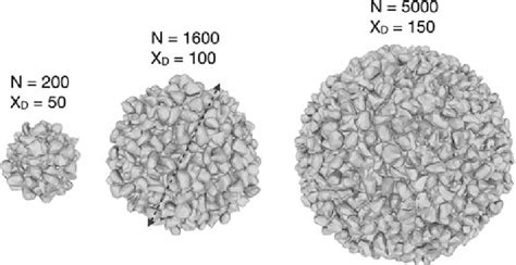 Samples Of Spherical Cluster With Different Sizes And Numbers Of Download Scientific Diagram